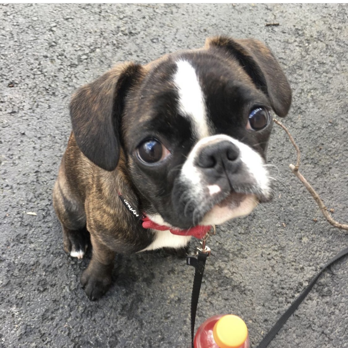 PCS Students - Provident Charter School - Designed for Children With ...